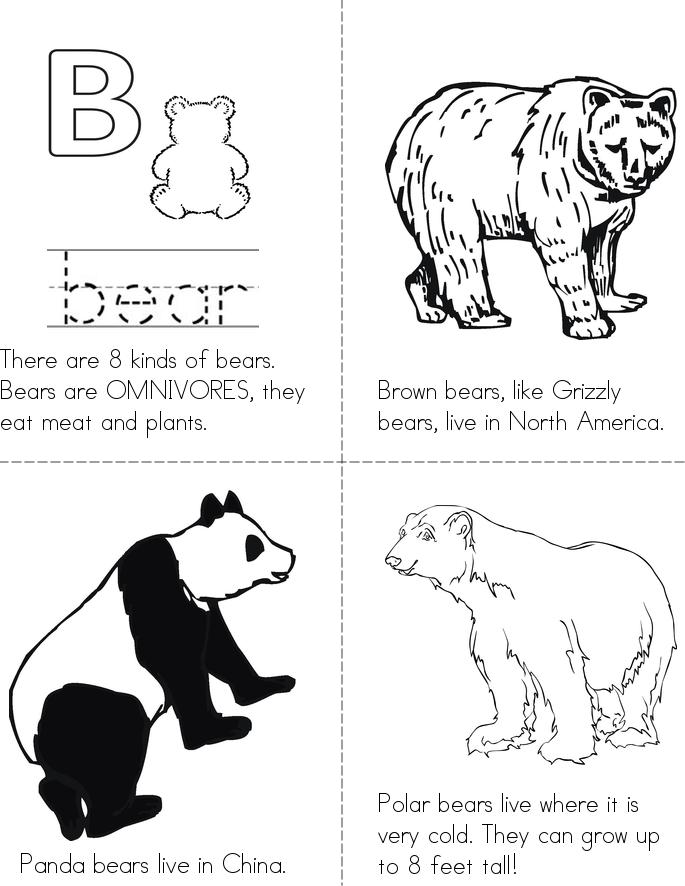 All About Bears Book - Twisty Noodle