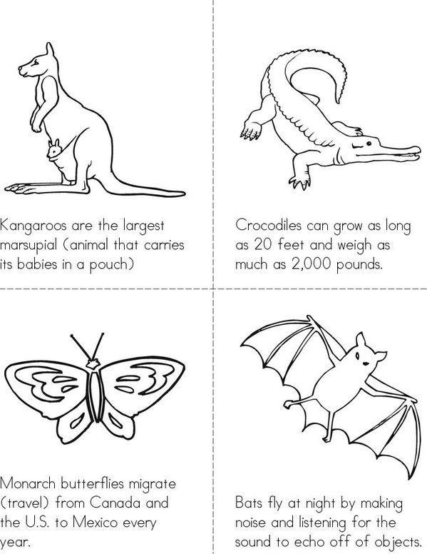 Animal Facts Book Twisty Noodle