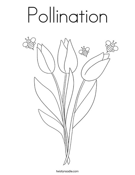 Pollination Coloring Page - Twisty Noodle