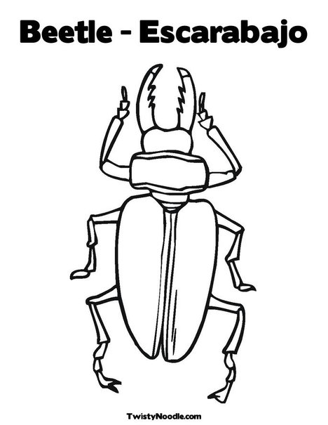 Egyptian Scarab Beetle Coloring Page Coloring Pages
