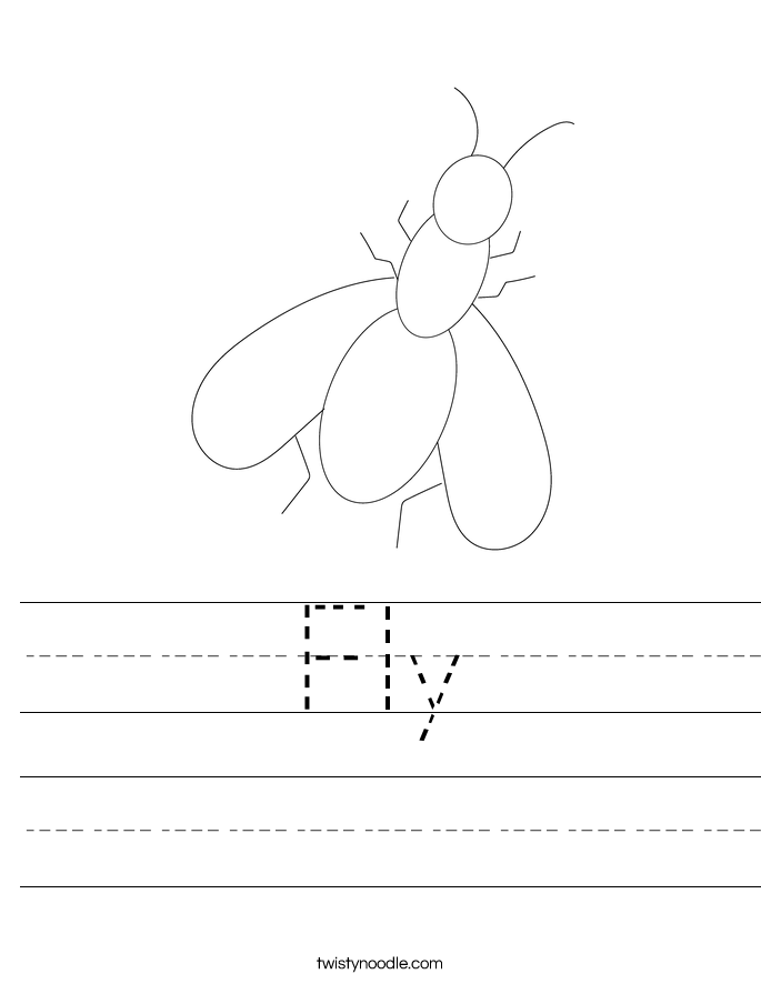 Fly Worksheet - Twisty Noodle