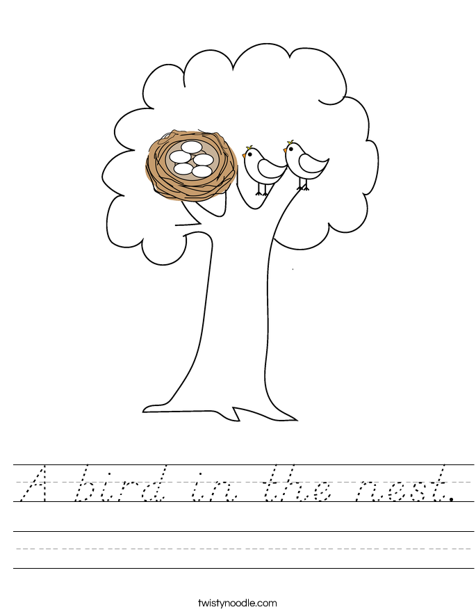 A bird in the nest Worksheet - D'Nealian - Twisty Noodle