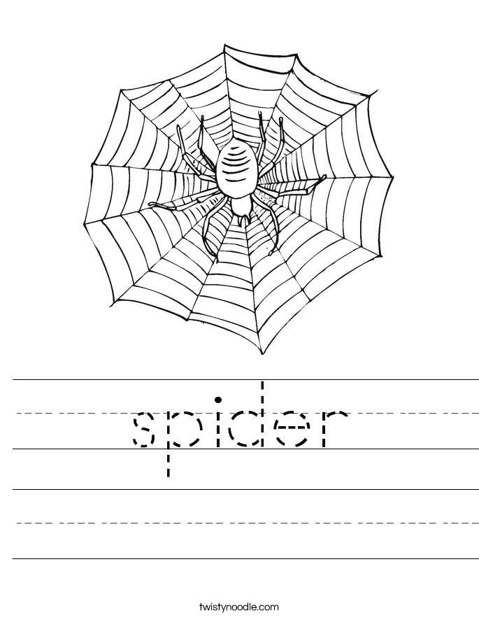 spider Worksheet - Twisty Noodle